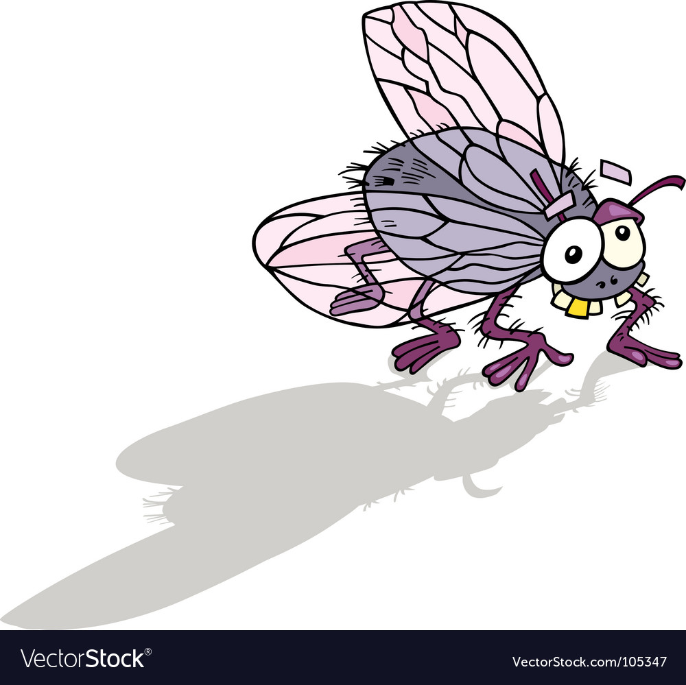 Funny fly Royalty Free Vector Image - VectorStock