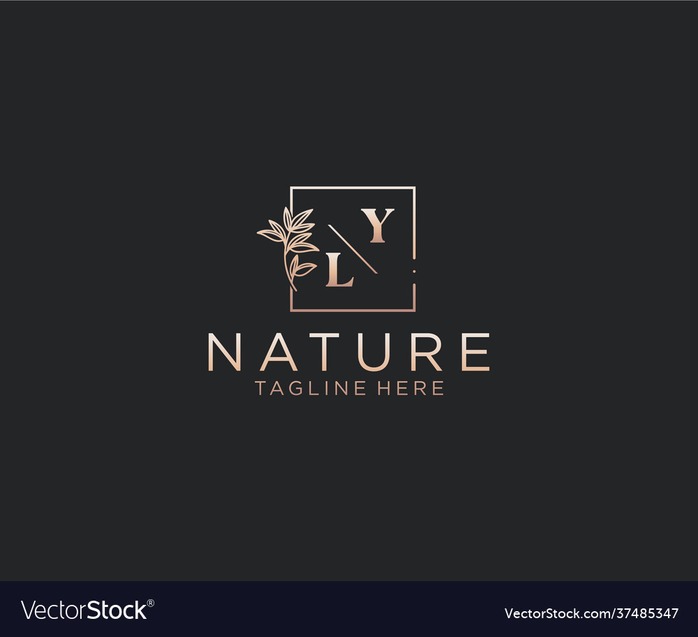 Initial yl letters beautiful floral feminine Vector Image