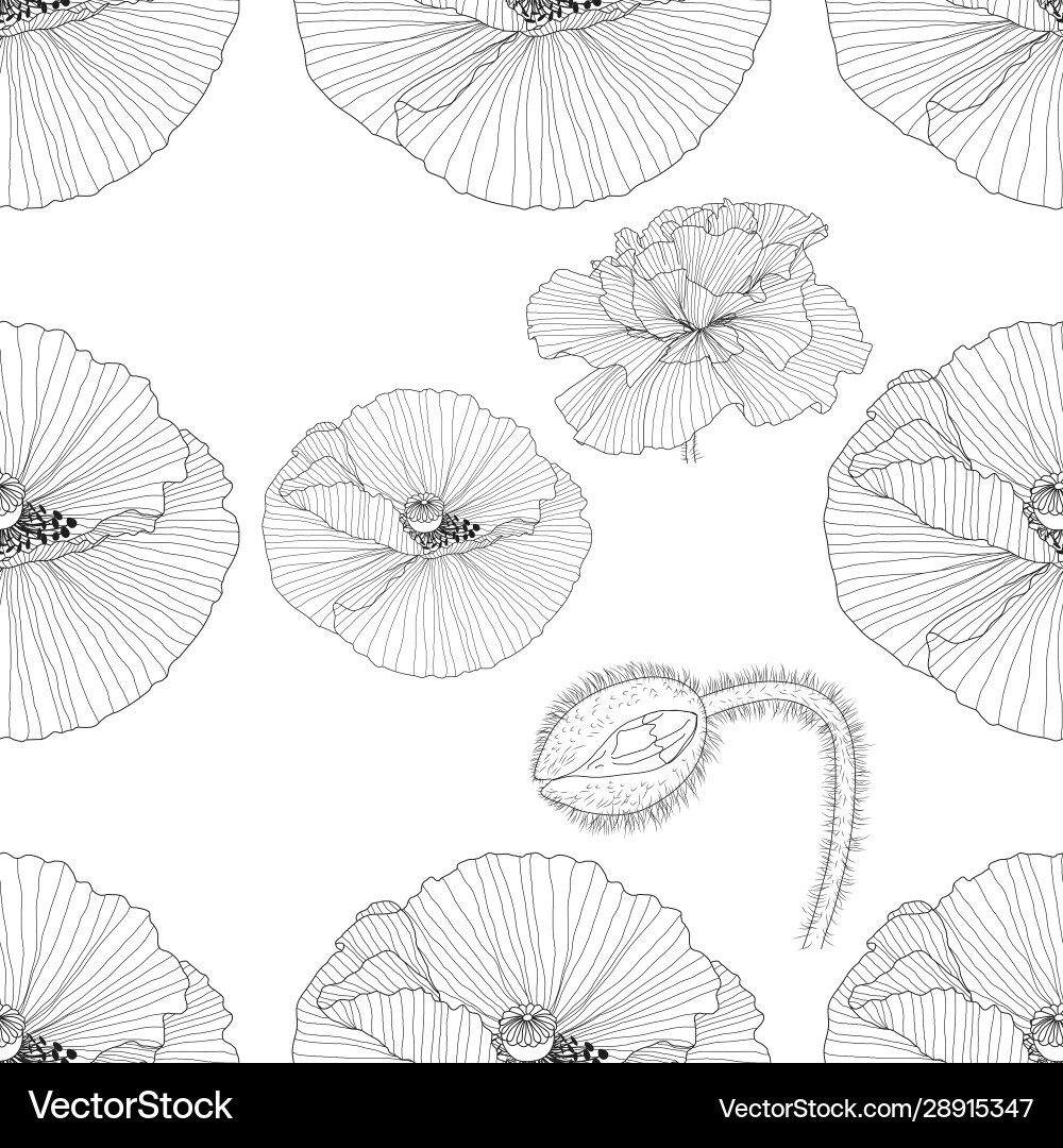 Line pattern with poppies monochrome floral Vector Image