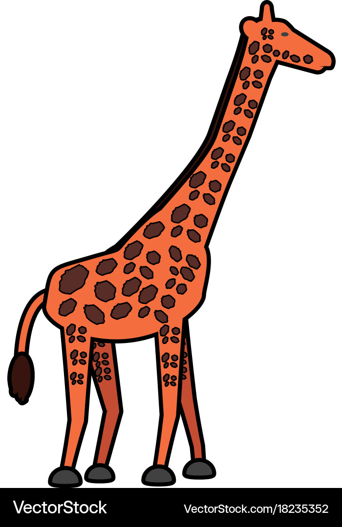 Giraffe Royalty Free Vector Image - VectorStock