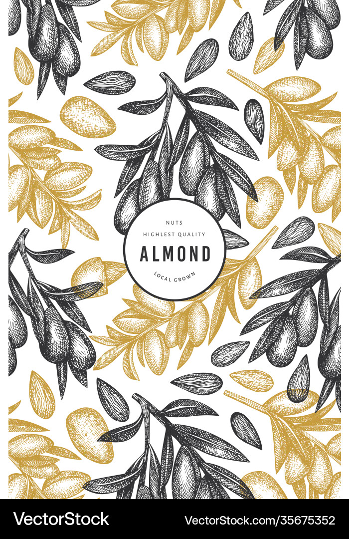 Hand drawn sketch almond design template organic Vector Image