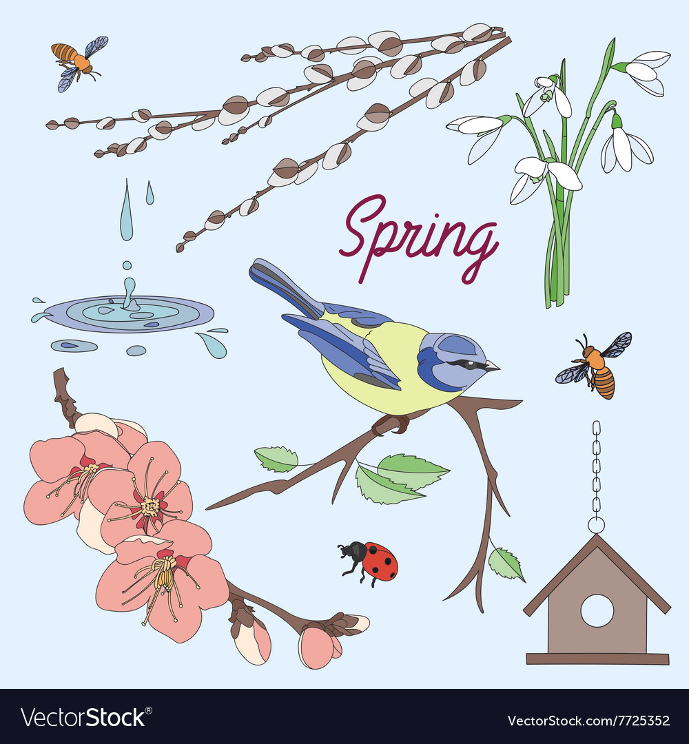 Spring elements background Royalty Free Vector Image