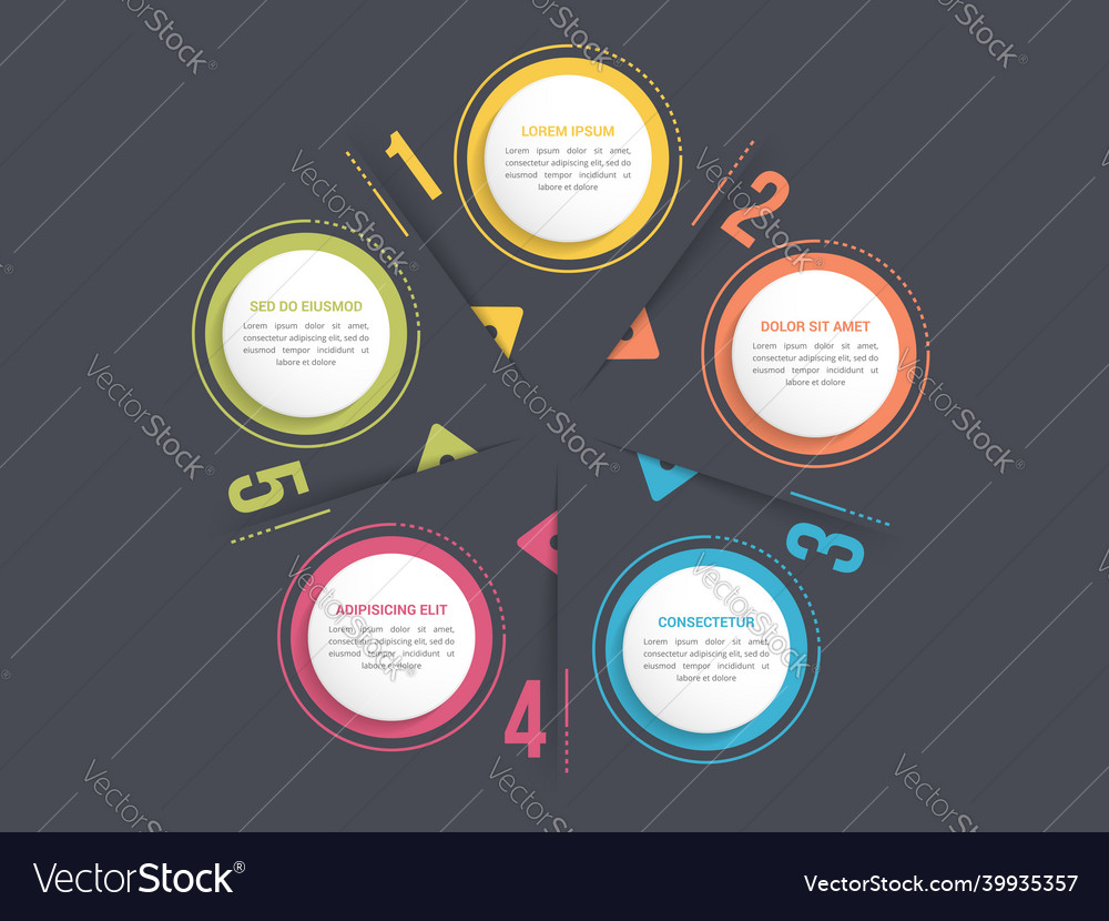 Circle infographics - five elements Royalty Free Vector