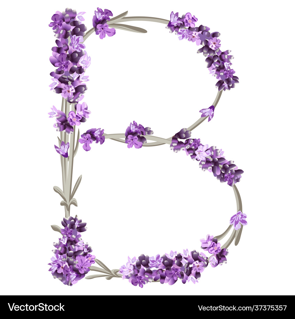 Image capital letter b english Royalty Free Vector Image