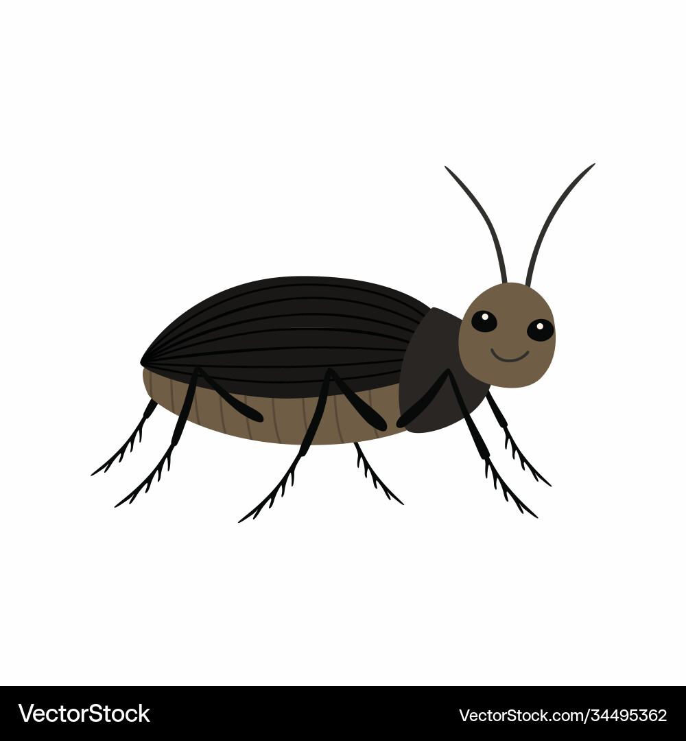 Black beetle on a white background Royalty Free Vector Image