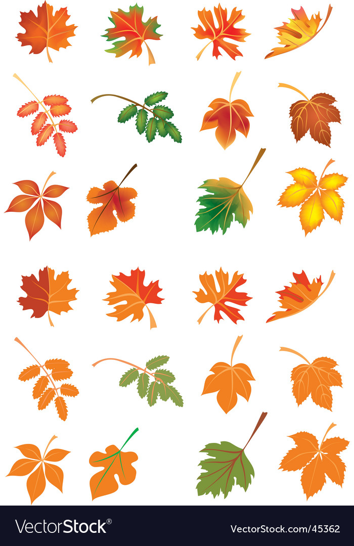 Leaves Royalty Free Vector Image - VectorStock