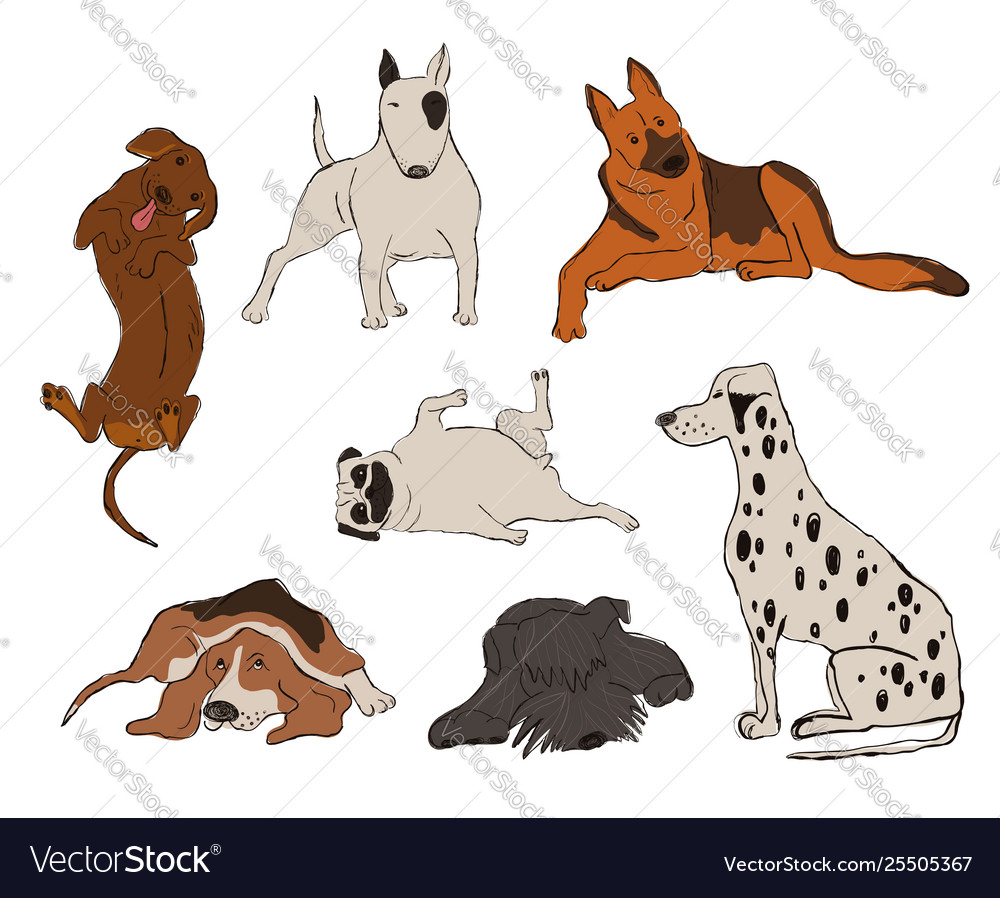Collection dog breeds icons Royalty Free Vector Image Collection dog breeds icons Royalty Free Vector Image