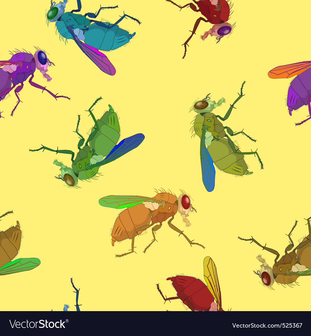 Flies pattern Royalty Free Vector Image - VectorStock