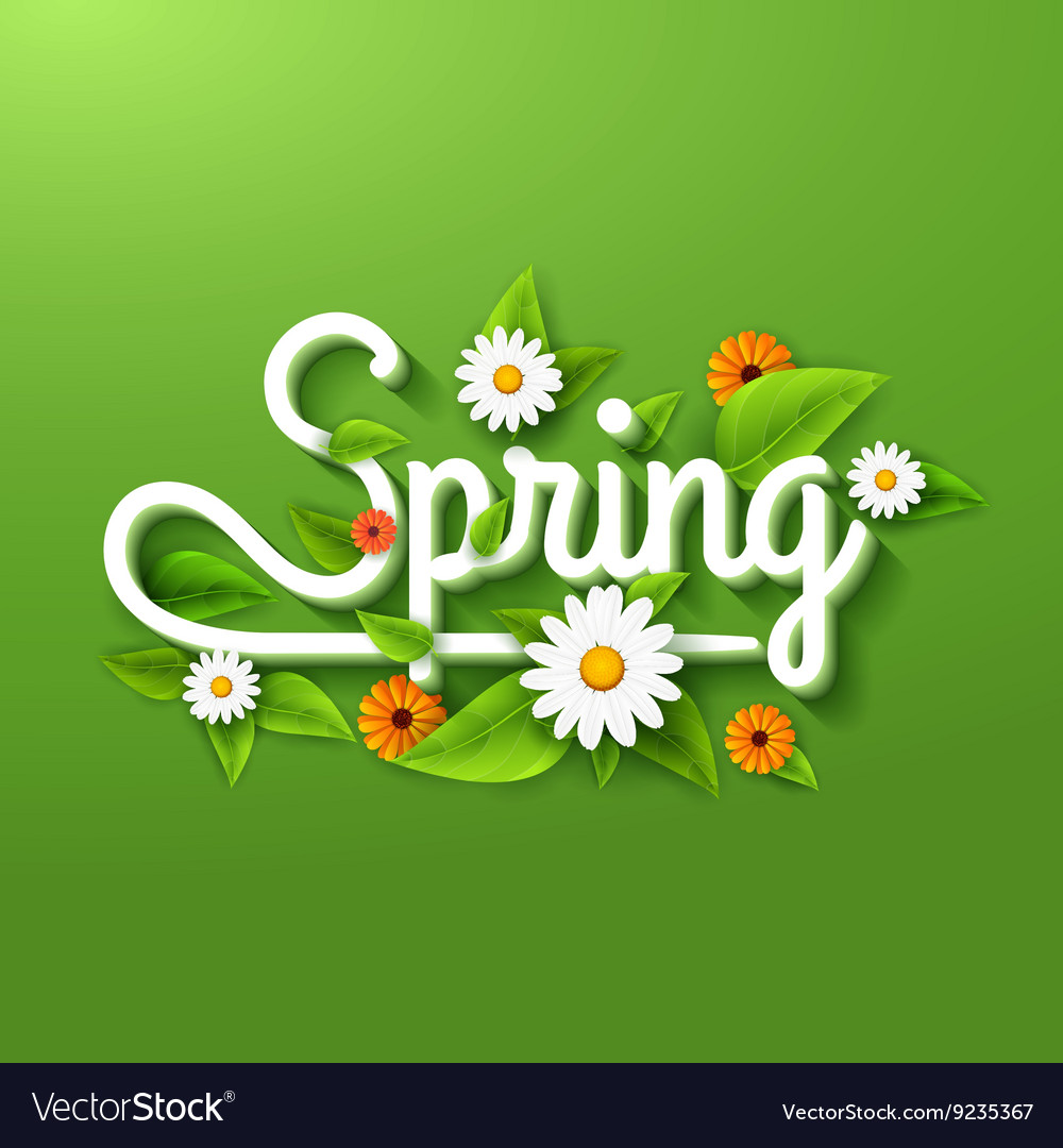 Fresh spring background poster with leafs Vector Image