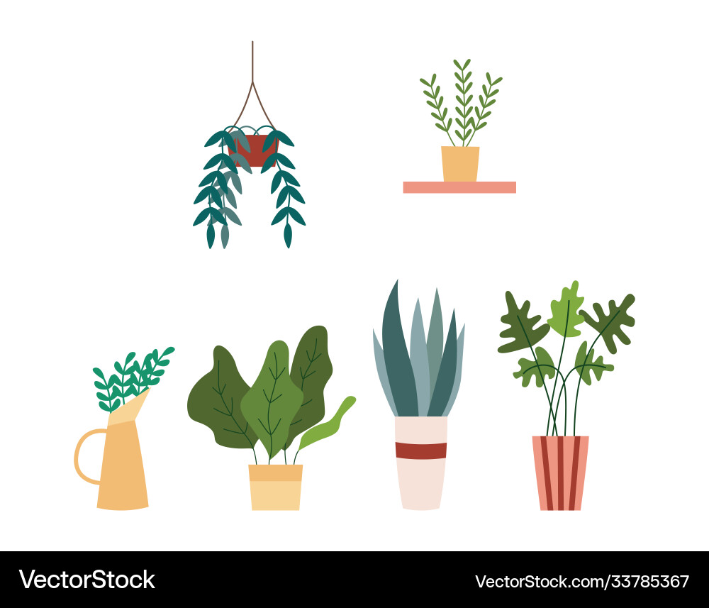 House plants in pots and planters set flat Vector Image