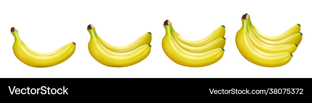 Banana set bunch bananas isolated Royalty Free Vector Image