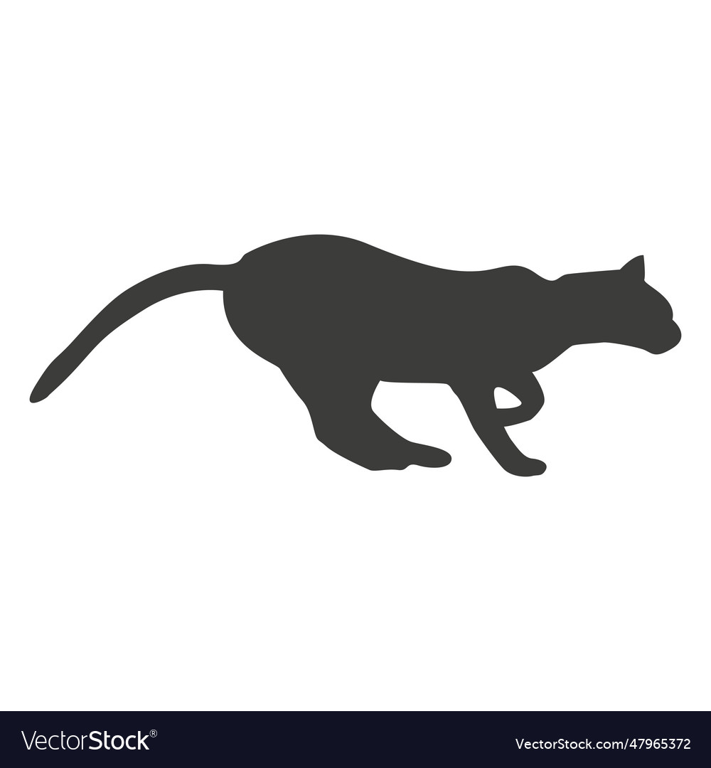 Cat running sequence 5 Royalty Free Vector Image