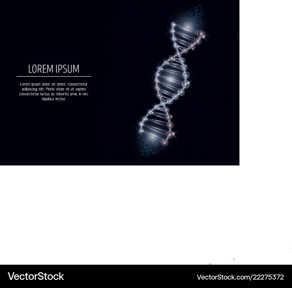 Dna geometric polygonal art style design Vector Image