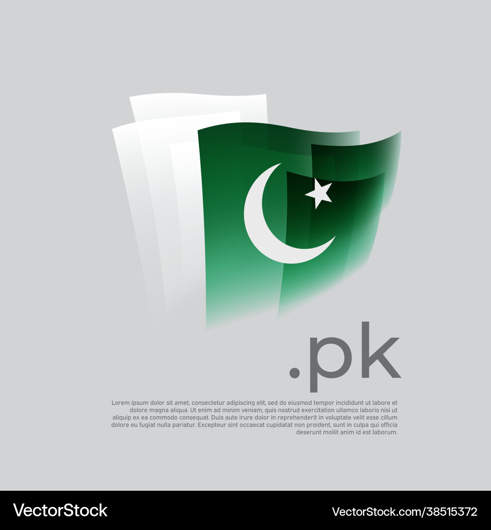 Pakistan flag stylized design national poster Vector Image