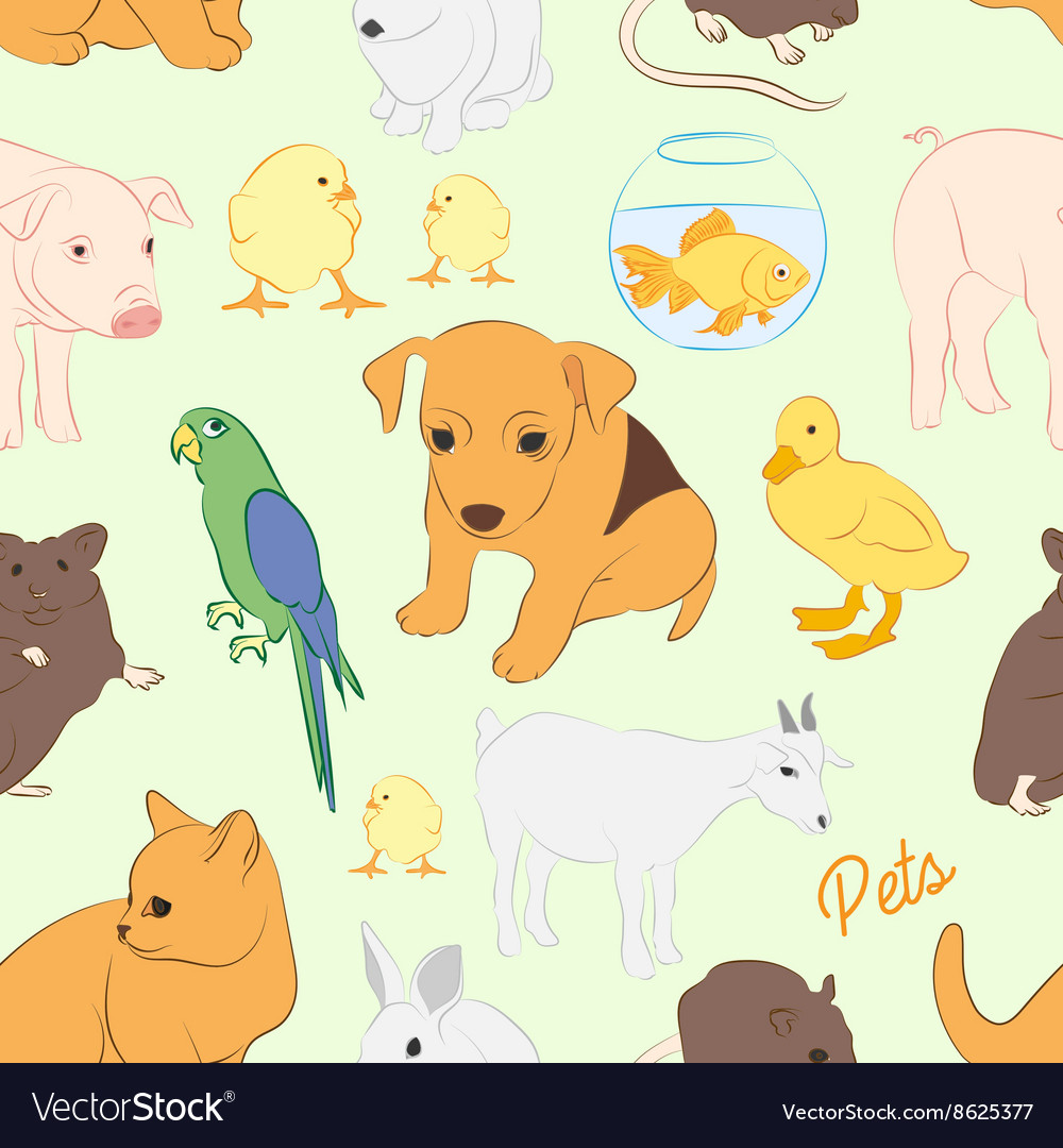 Animals pets colorful pattern Royalty Free Vector Image