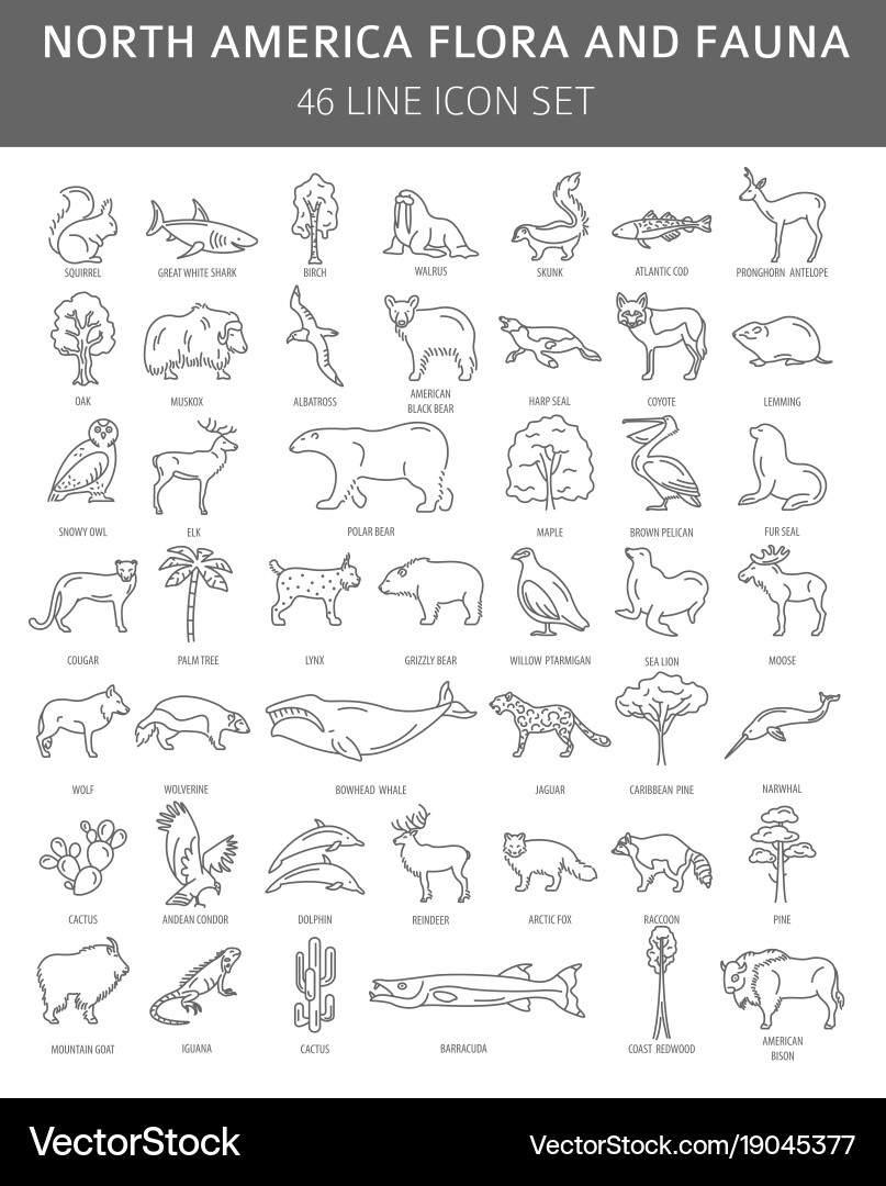Flat north america flora and fauna elements Vector Image