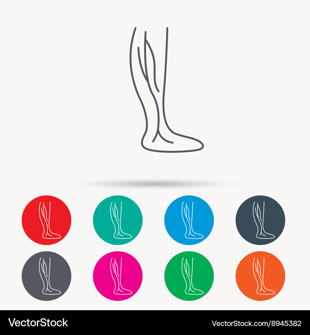 Phlebology icon leg veins sign Royalty Free Vector Image