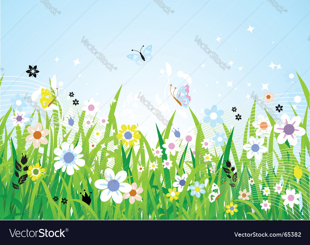 Spring meadow Royalty Free Vector Image - VectorStock