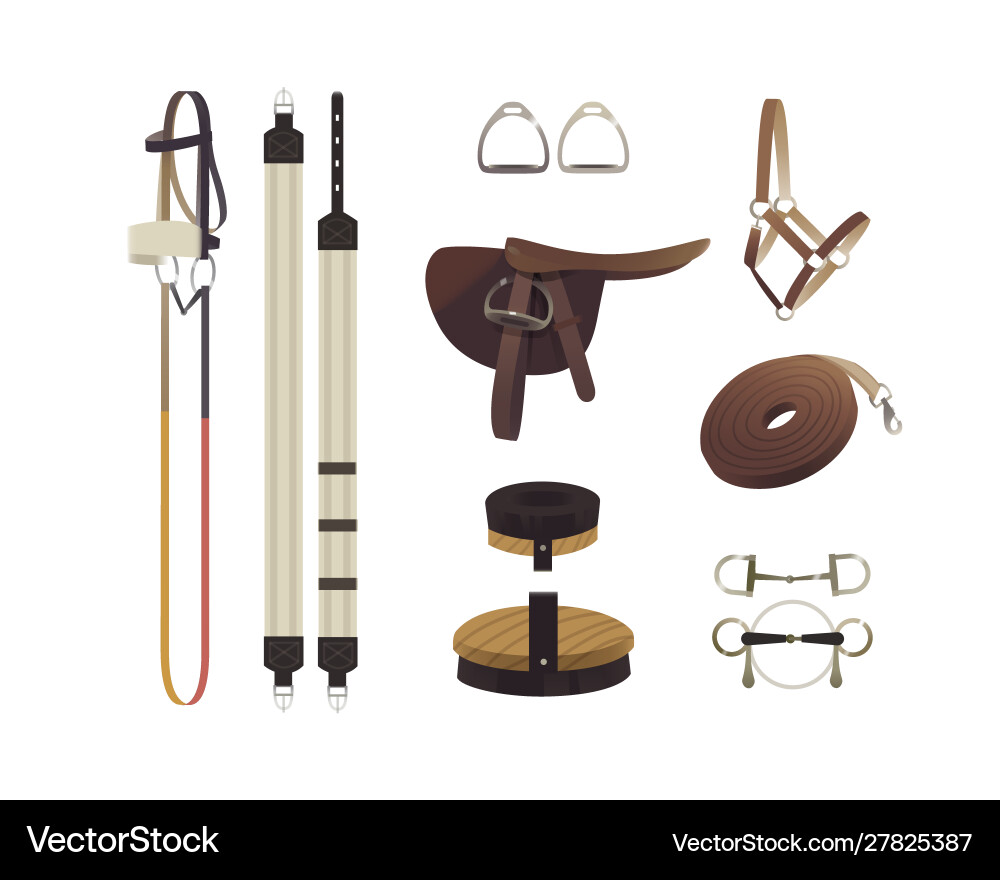 Racehorse riding tack Royalty Free Vector Image