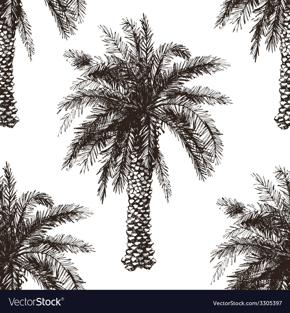 Hand drawn palm tree seamless Royalty Free Vector Image Hand drawn palm tree seamless Royalty Free Vector Image