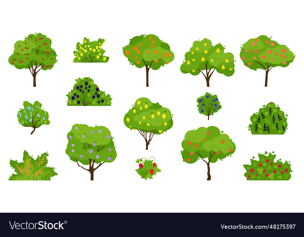 Harvest fruits tree fruit trees growing and bush Vector Image