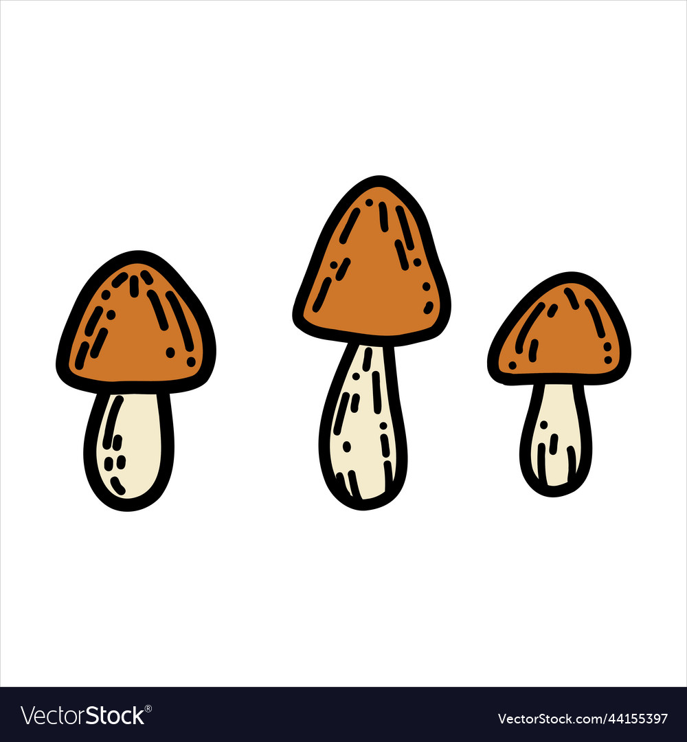 Mushroom in hand drawn doodle style linear autumn Vector Image Mushroom in hand drawn doodle style linear autumn Vector Image