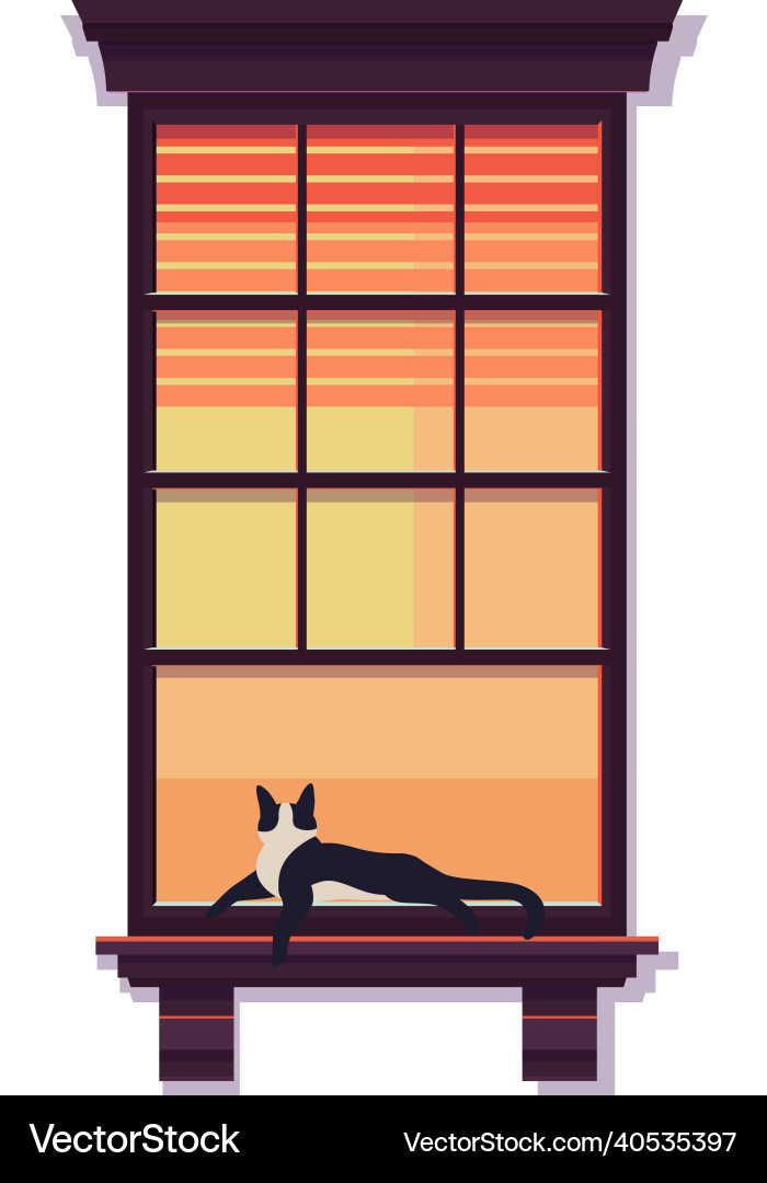 Window with lying cat neighbor apartment view Vector Image