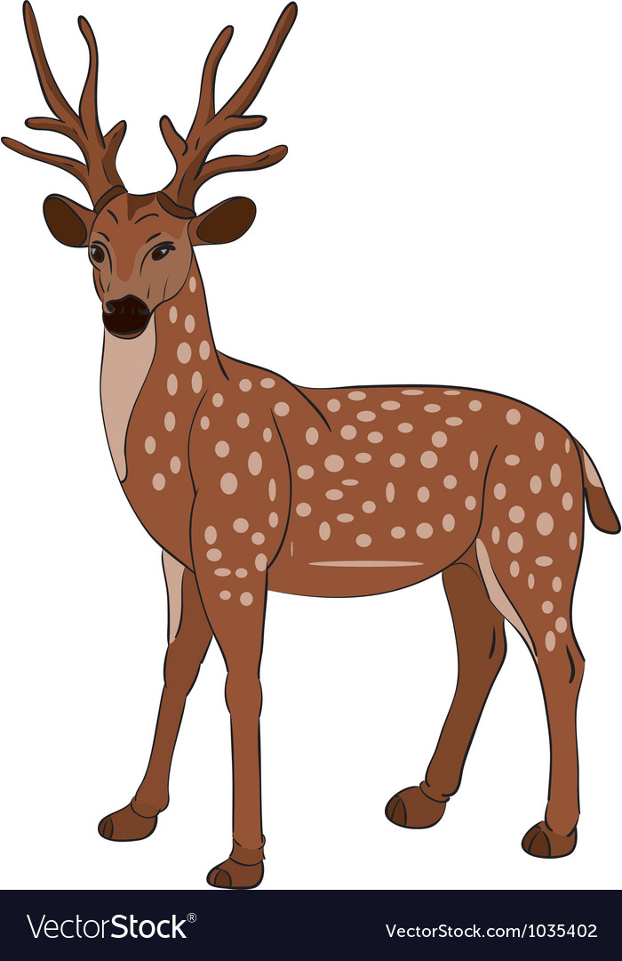 Deer Royalty Free Vector Image - VectorStock