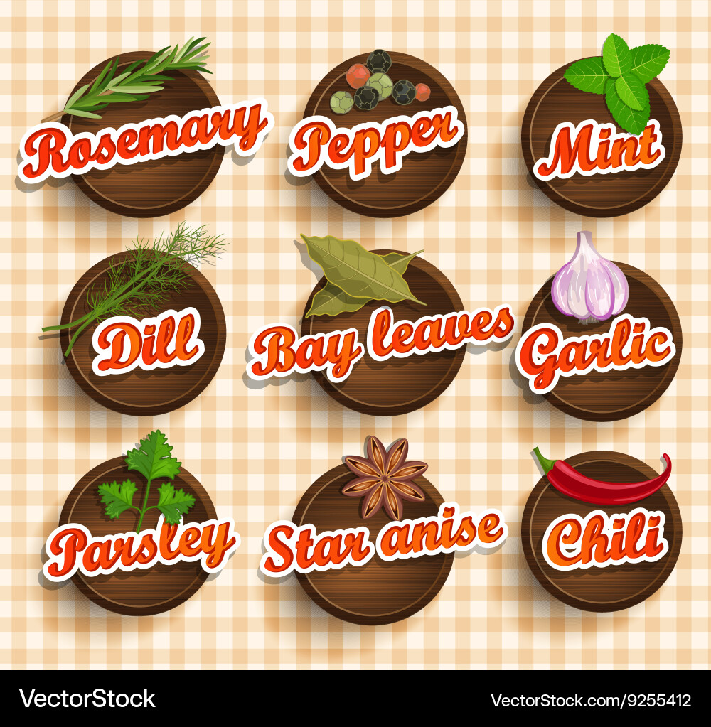 Big set of spices Royalty Free Vector Image - VectorStock