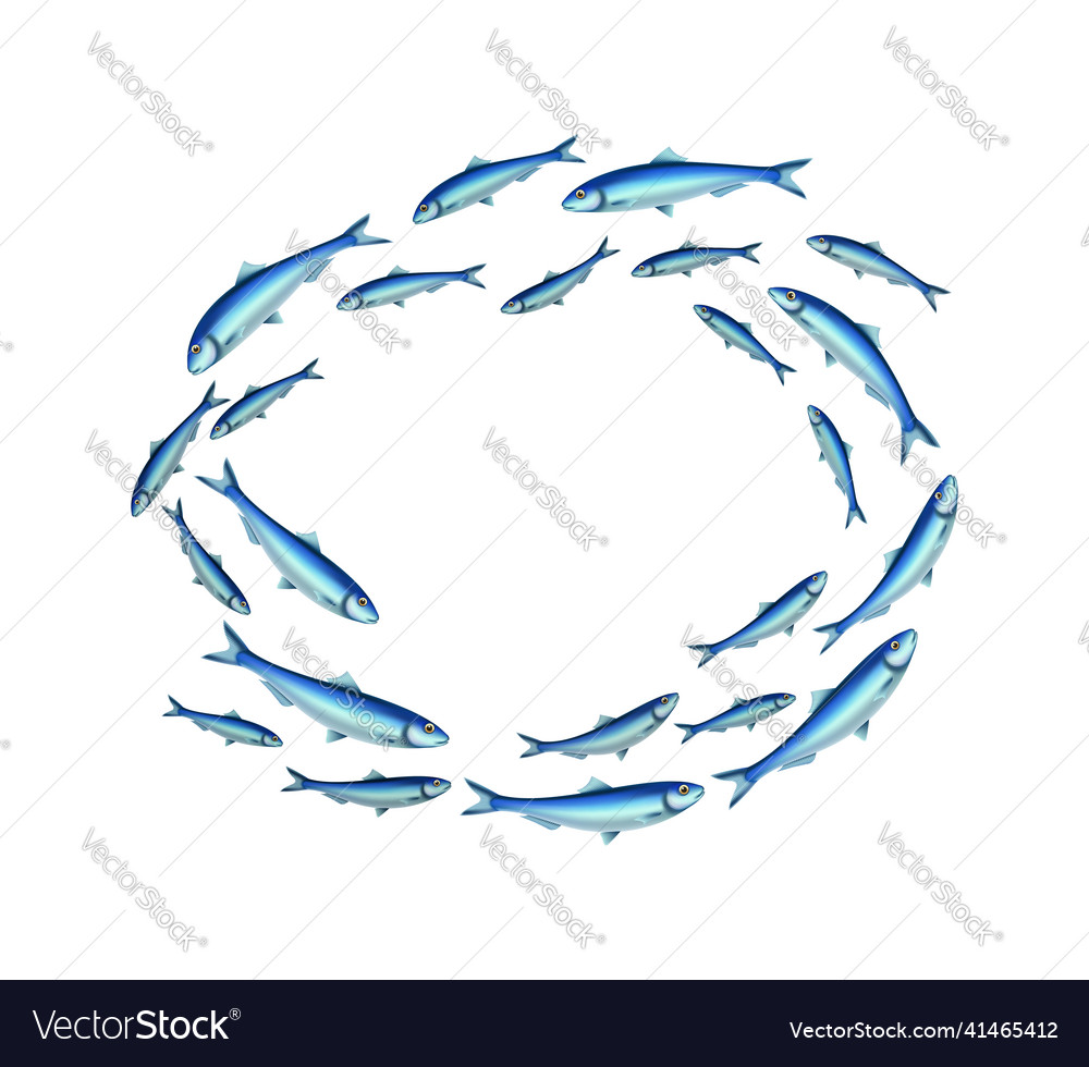 Fish school ring composition Royalty Free Vector Image