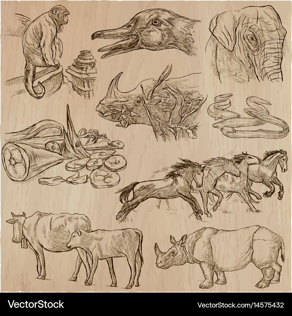 Animals - an hand drawn pack collection Royalty Free Vector