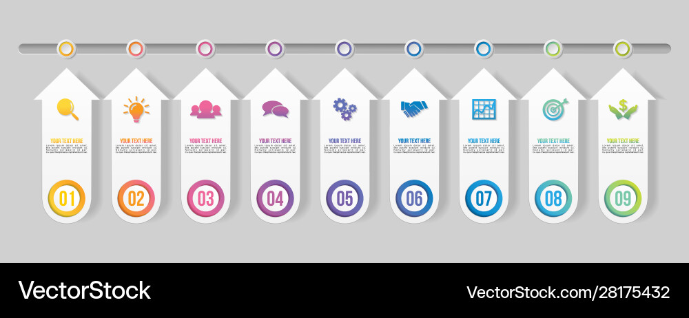 Infographics elements template design business Vector Image