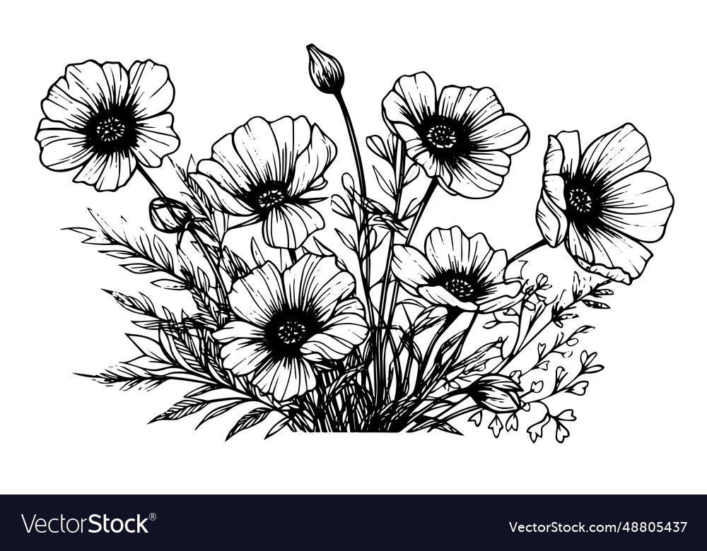 Wild flower hand drawn ink sketch engraved retro Vector Image