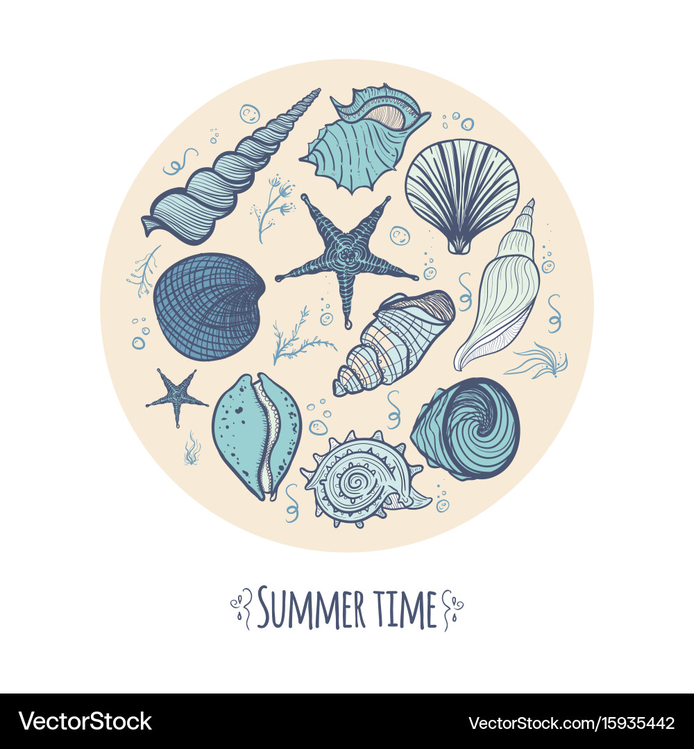 Set of seashells in a circle Royalty Free Vector Image