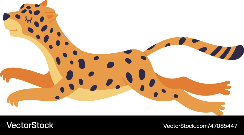Cute jumping baby leopard beautiful wild predator Vector Image