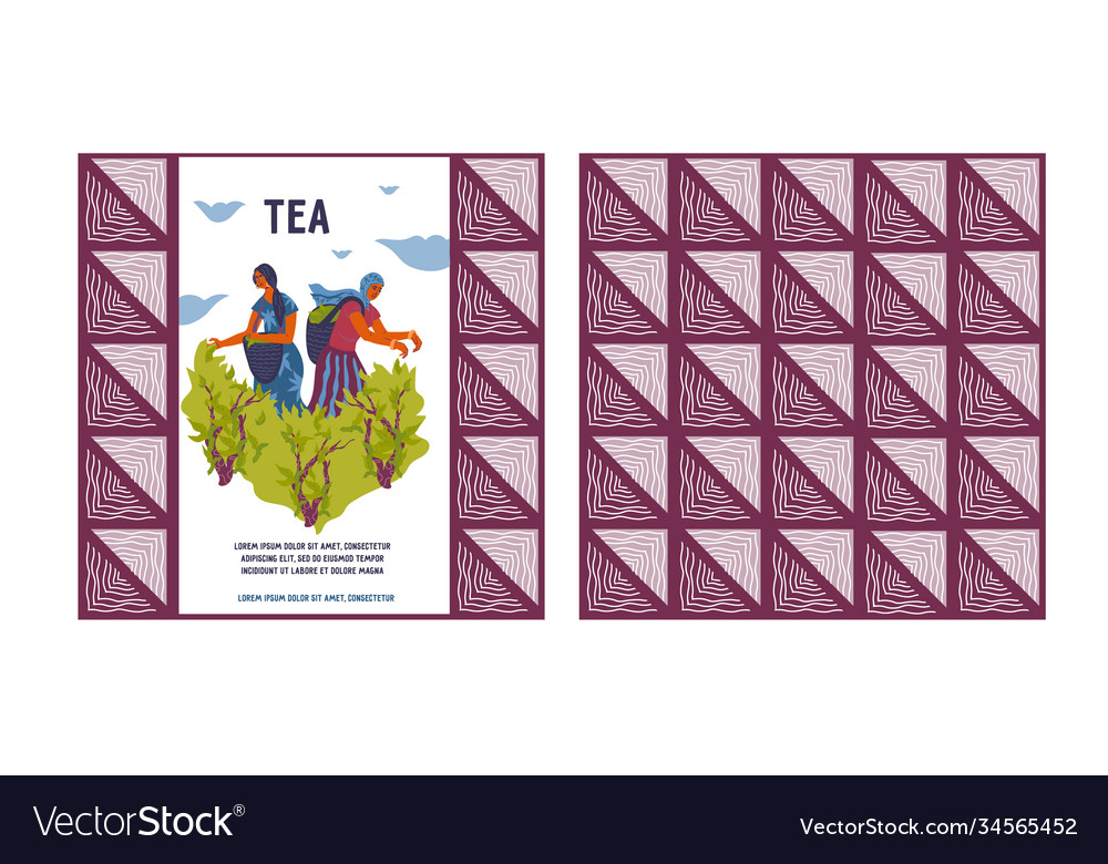Bundle for tea packaging design Royalty Free Vector Image