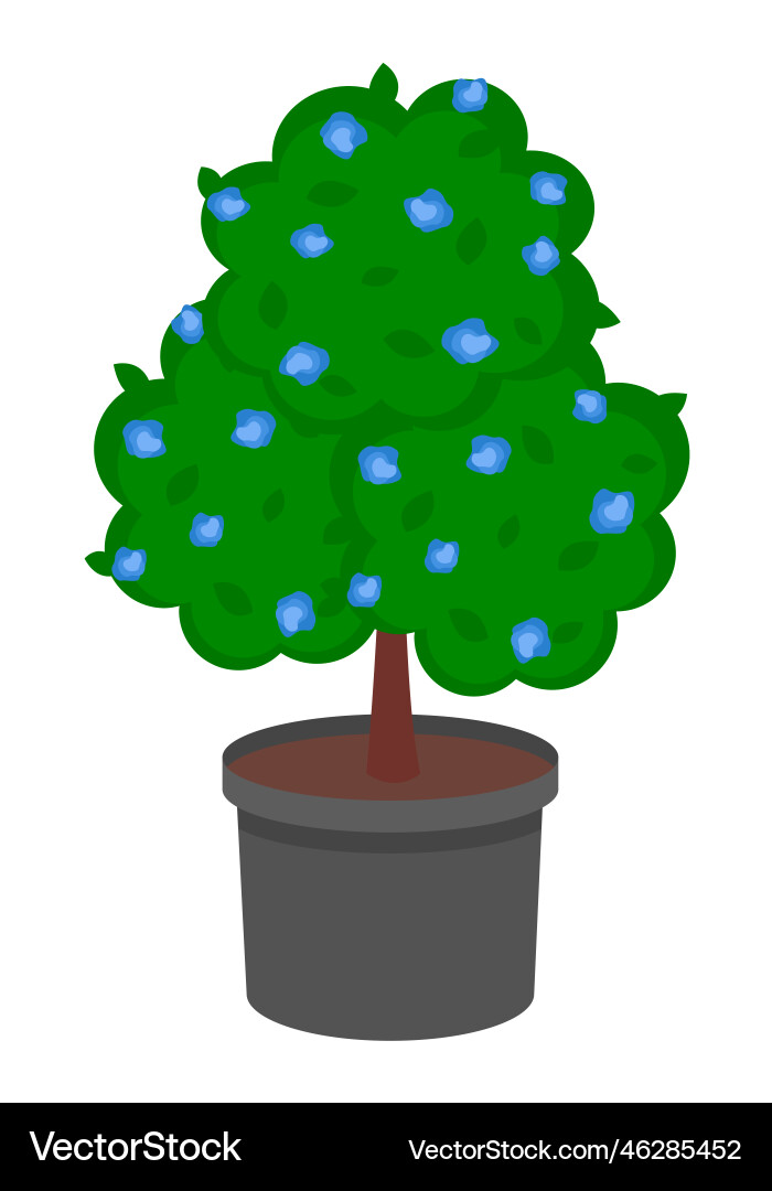 Isolated green tree growing in pot with soil Vector Image