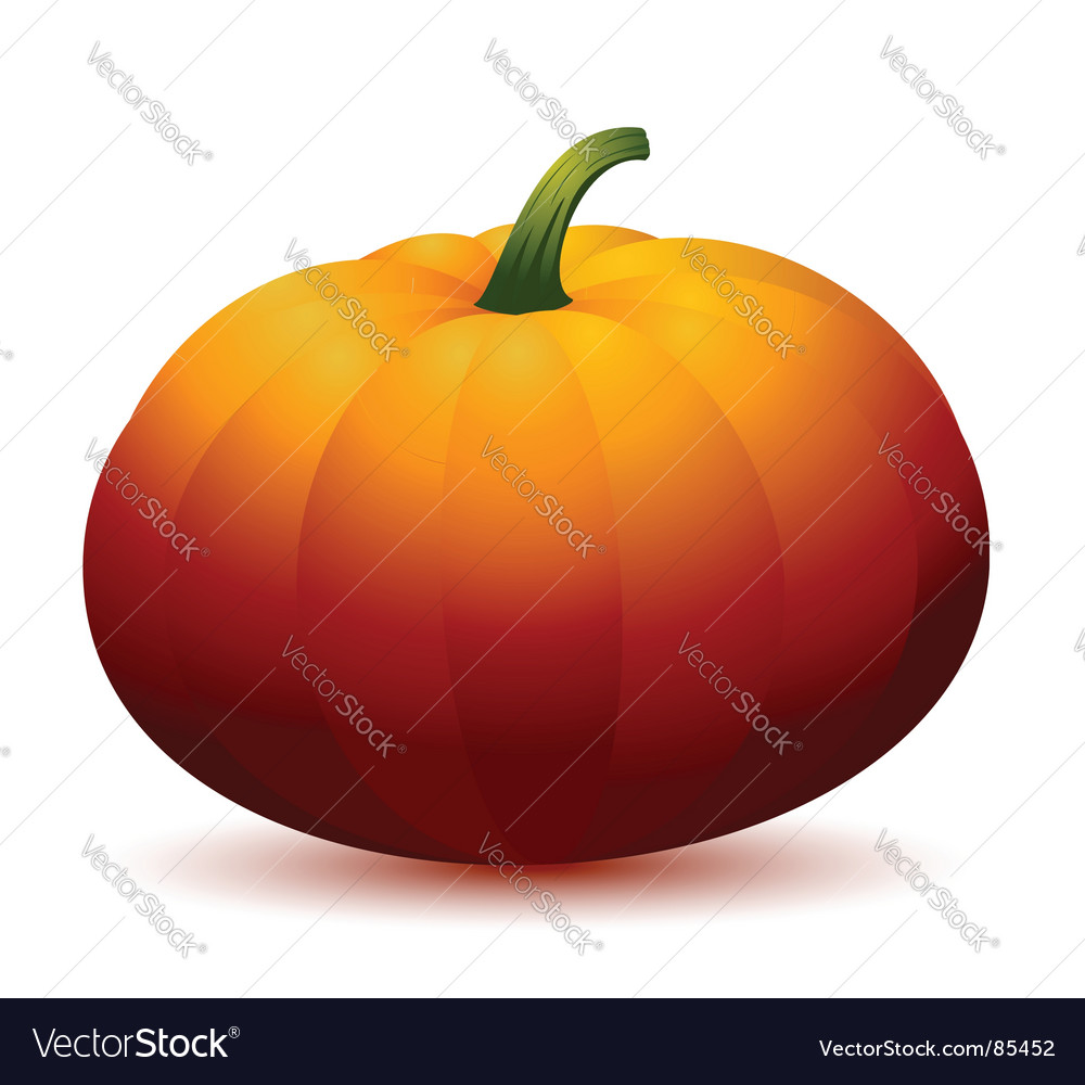 Pumpkin Royalty Free Vector Image - VectorStock
