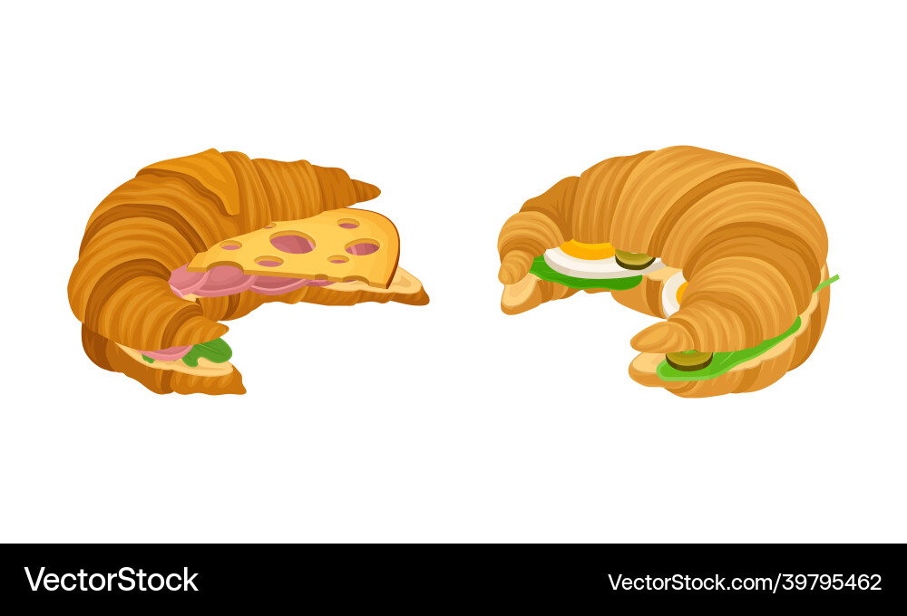 Crunchy croissants with various ingredients set Vector Image