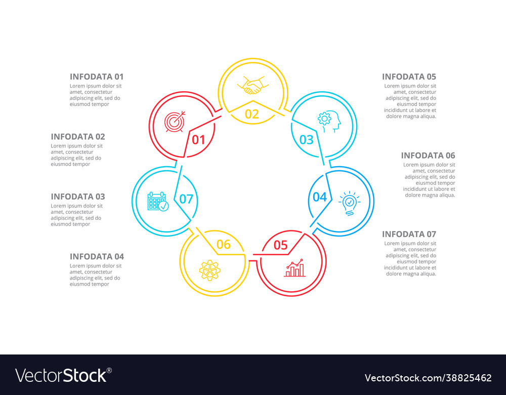 Heptagon divided into 7 parts steps or options Vector Image