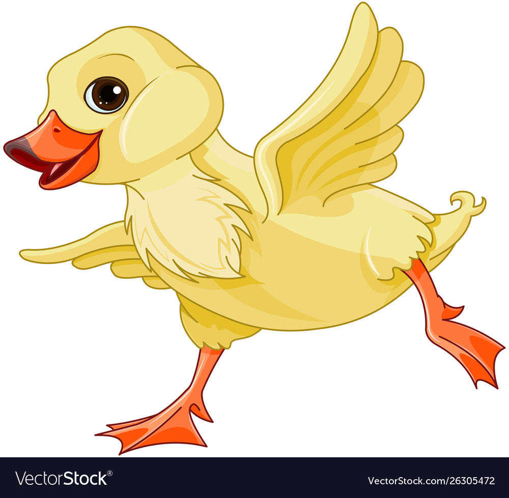 Baduck Royalty Free Vector Image - VectorStock