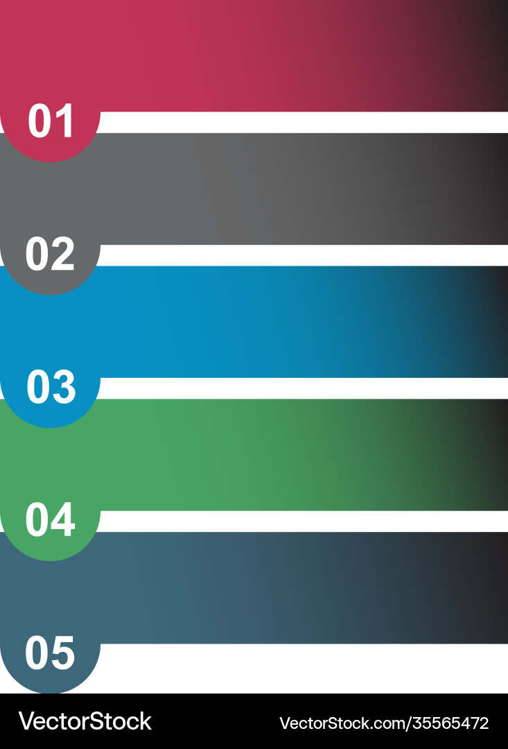 Colorful 5 step infographic diagram on white Vector Image
