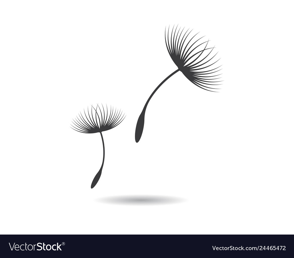 Dandelion Royalty Free Vector Image - VectorStock