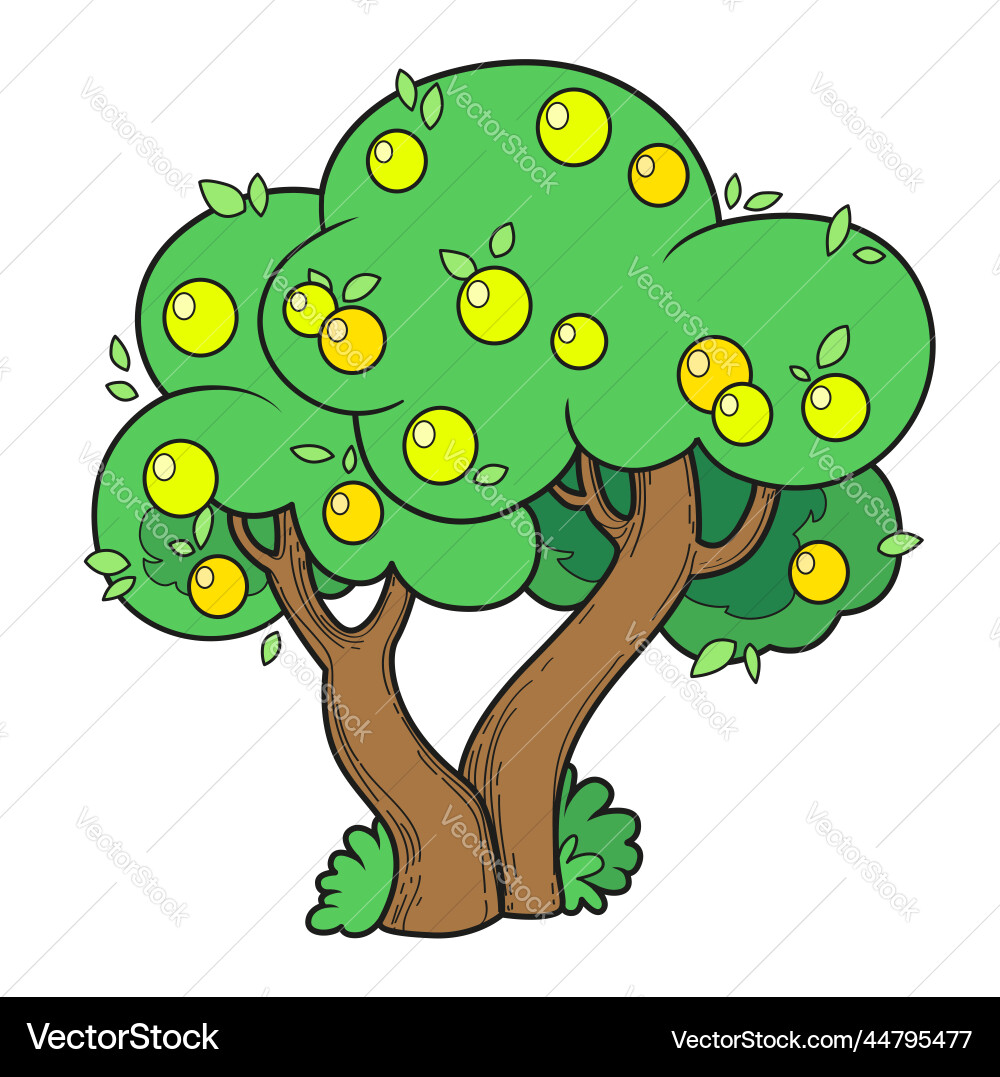 Fruit tree with apples in the crown color Vector Image