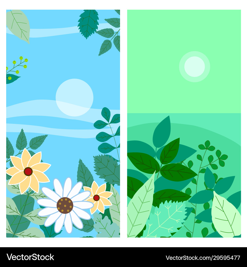 Set floral spring leaves and flowers vertical Vector Image
