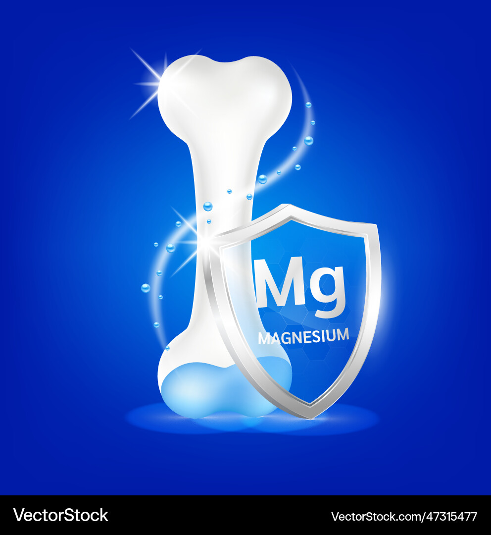Shield aluminum magnesium transparent and bone Vector Image