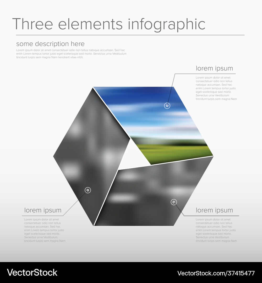 Simple infographic template with photo Royalty Free Vector
