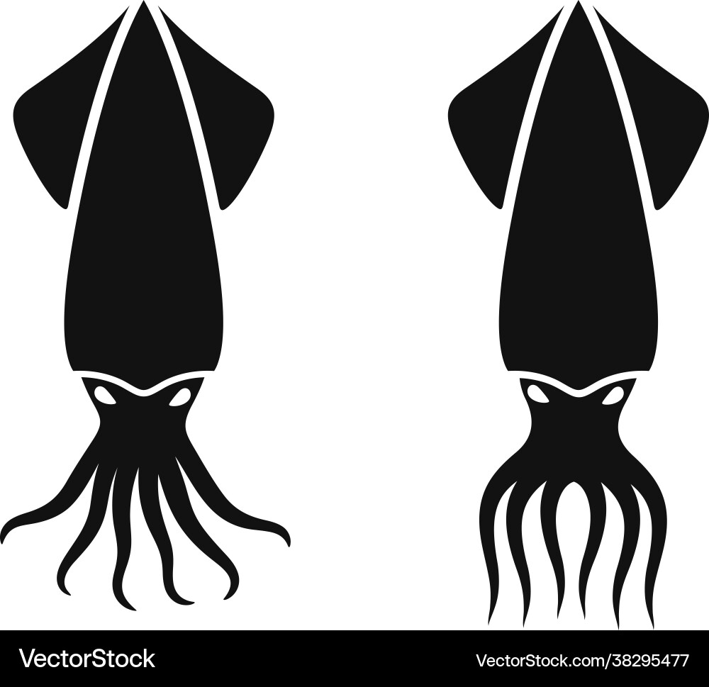 Squid Royalty Free Vector Image - VectorStock