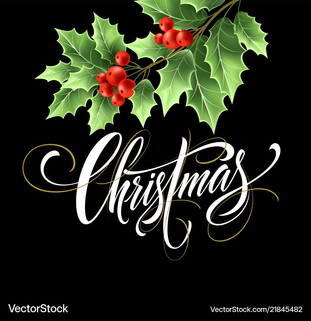 Christmas lettering with realistic mistletoe Vector Image