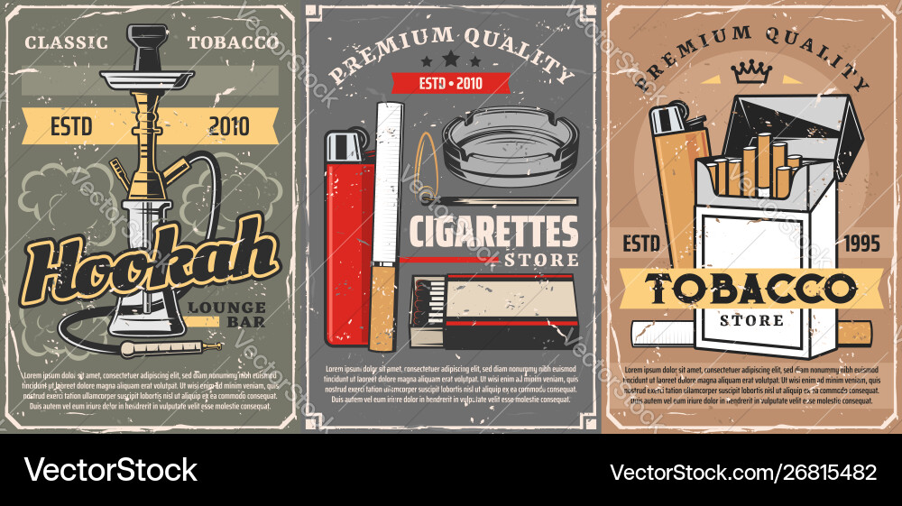 Premium quality tobacco cigarettes store Vector Image